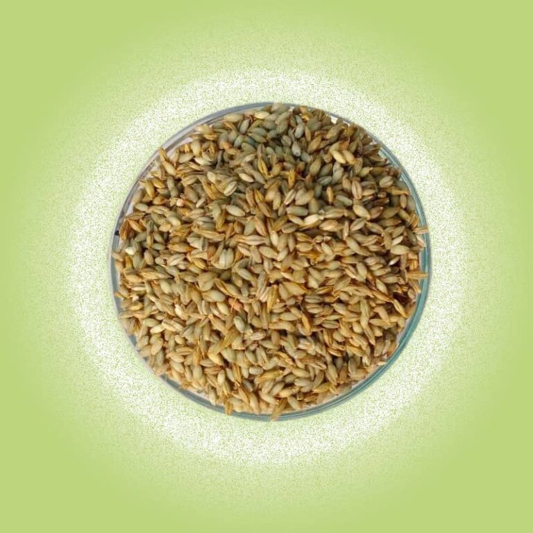 Kalo Chamal , Black Rice (कालो चामल) – Buy Online at Best Price in Nepal