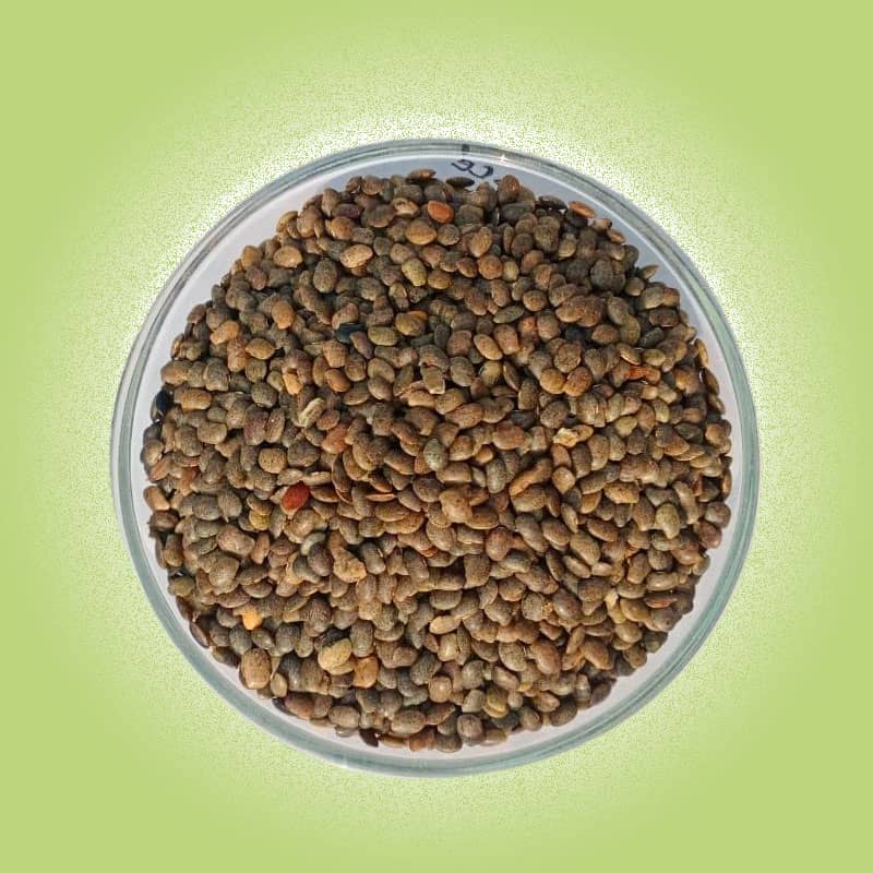 Gahat Pulses ( गहत दाल ) 1 KG – Buy Online at Best Price in Nepal