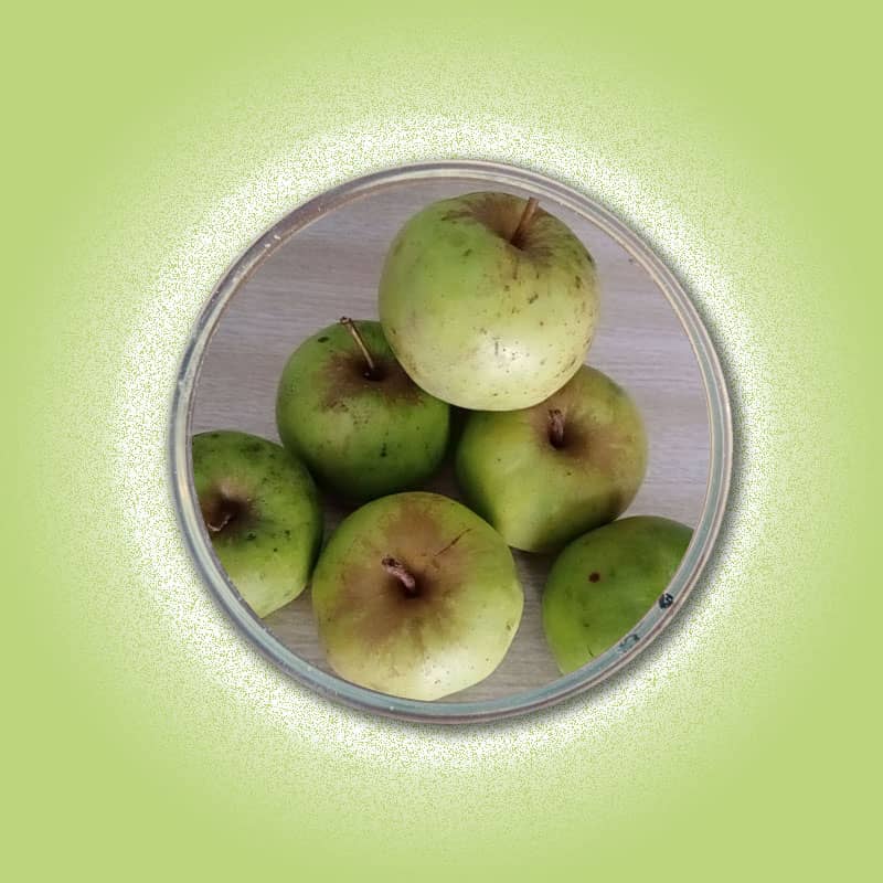 Golden Apple ( भाले स्याउ ) – Buy Online at Best Price in Nepal
